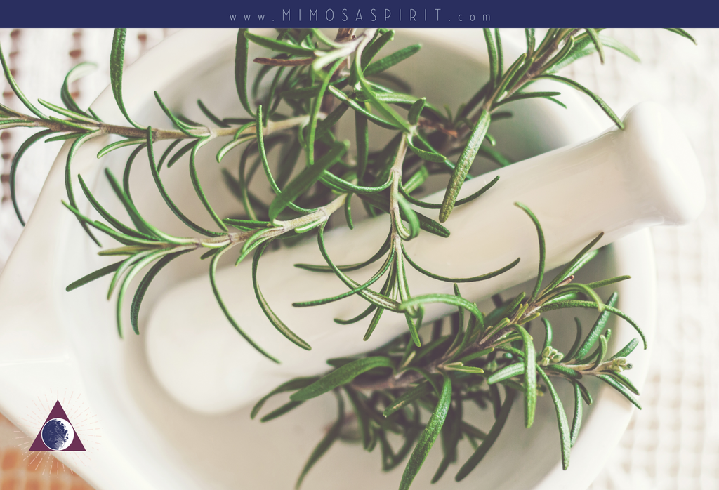 Rosemary_1024x1024.png?v=1608172452